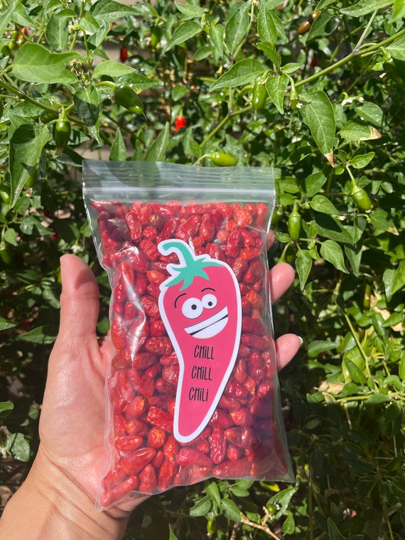 Chili Pequin Peppers. Organic Whole Dried Peppers. Also Known | Etsy