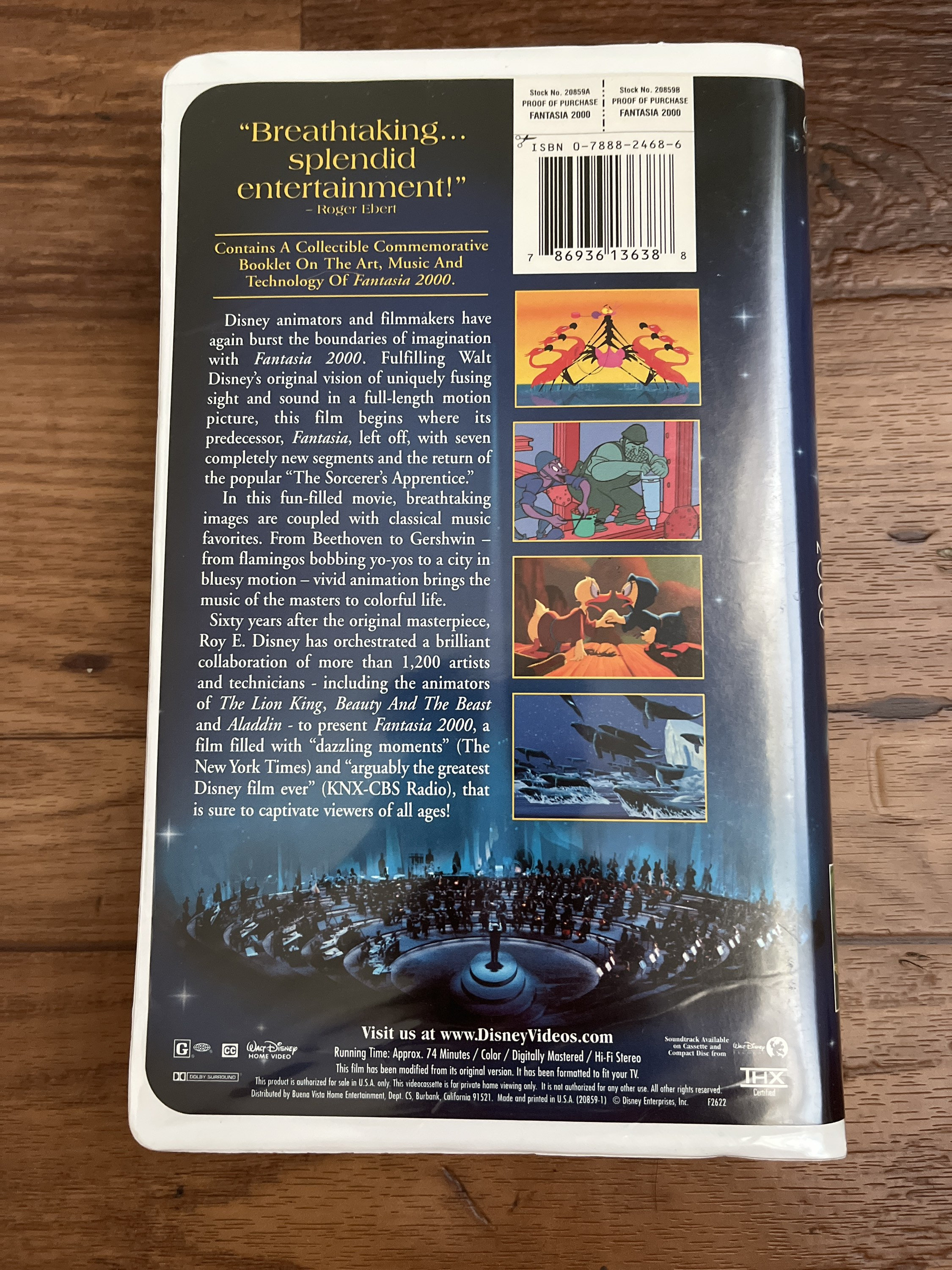 Walt Disney Pictures Fantasia 2000