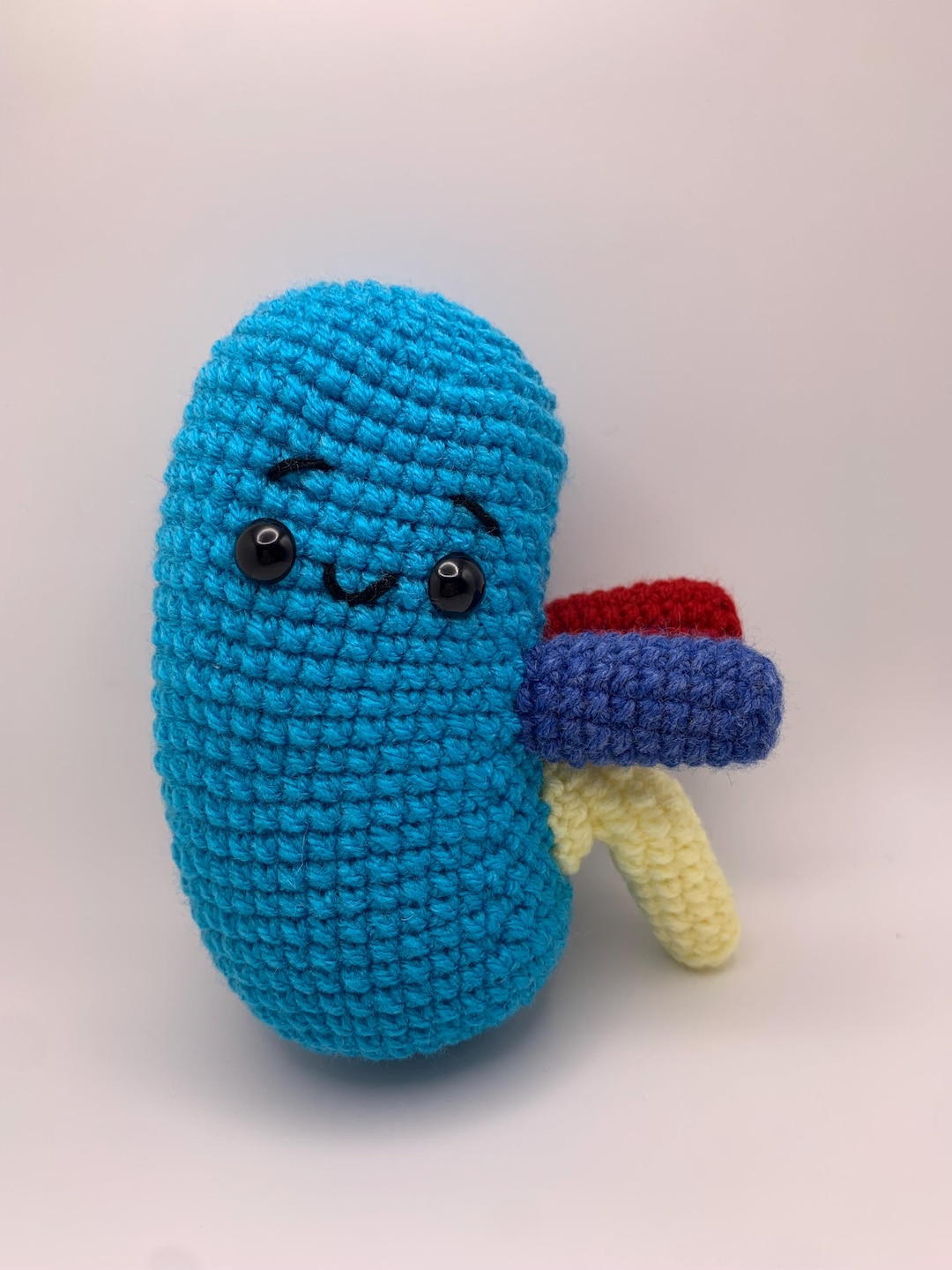 Crocheted Kidney Plushie: Handmade Organ Gift for Healthcare Workers - Etsy