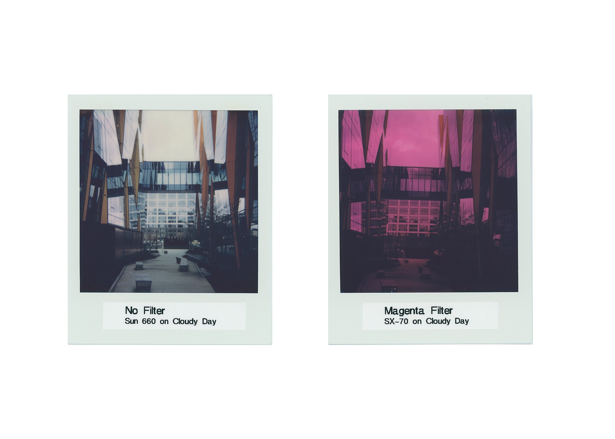 Duochrome Filters for Vintage SX-70 and Modern Polaroid 600 Cameras ...
