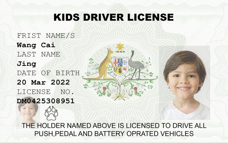 Kids Photo Driving Licence Party Licencefake ID Dog Driving - Etsy ...