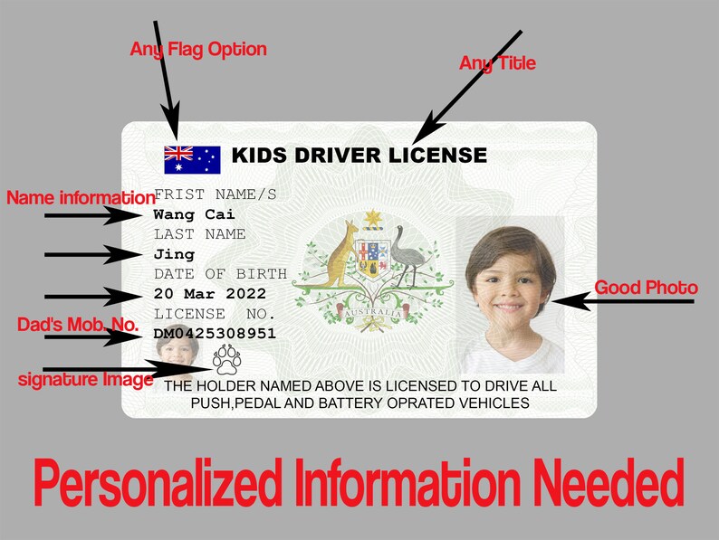 Kids Photo Driving Licence, Party Licence,fake ID, Dog Driving Licence ...