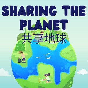 IB PYP Transdisciplinary Themes Decorative Classroom Poster Bilingual ...