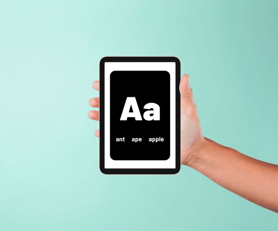 High Contrast Accessible Alphabet Flashcards | Etsy