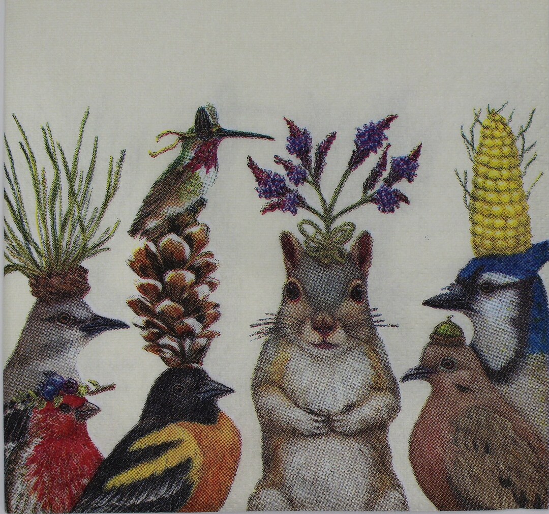 Decoupage Cocktail Napkins / Party Snacks - Etsy