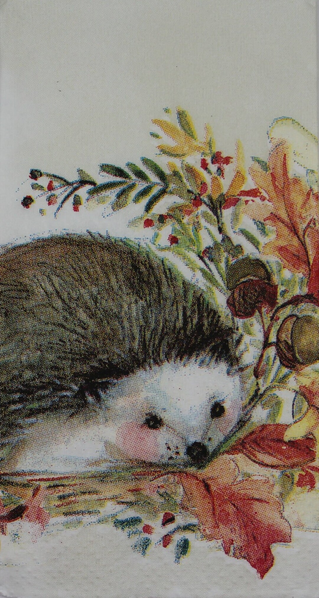 Decoupage Facial Tissues / Sweet Fall Hedgehog - Etsy