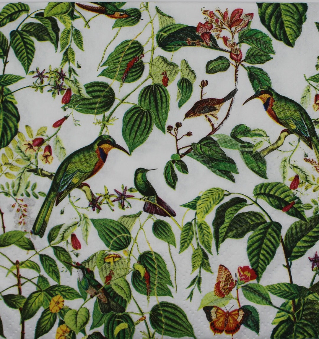 Decoupage Cocktail Napkins / Mauritius Birds - Etsy