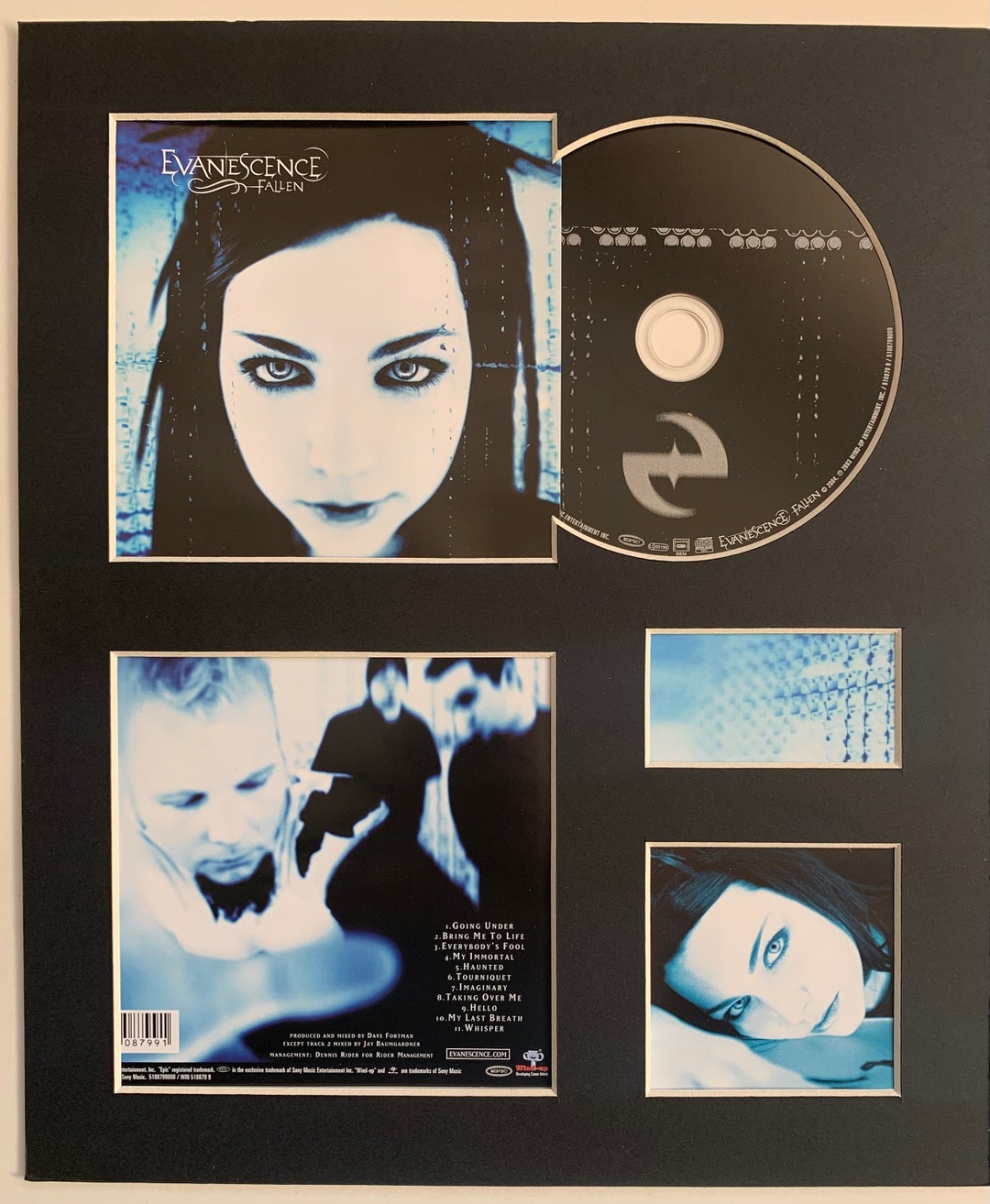 Evanescence Album