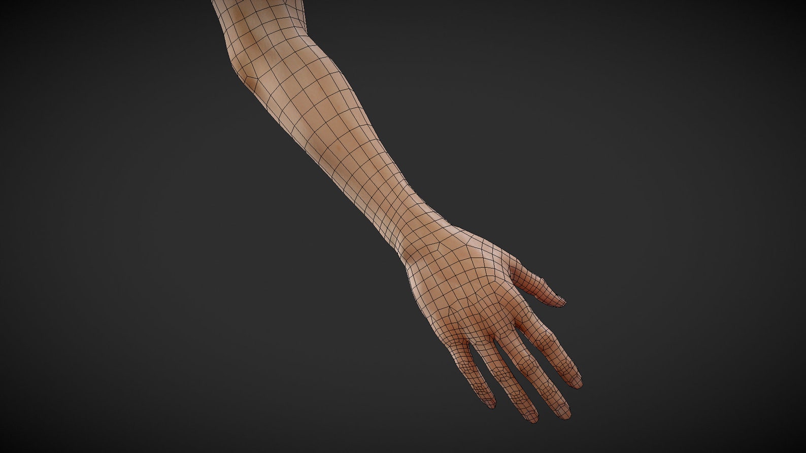 Procreate 3D Models Female Arm and Hand Perfect for Tattoo Art 3D Arm ...