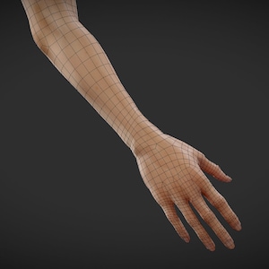 Procreate 3D Models Female Arm and Hand Perfect for Tattoo Art 3D Arm ...