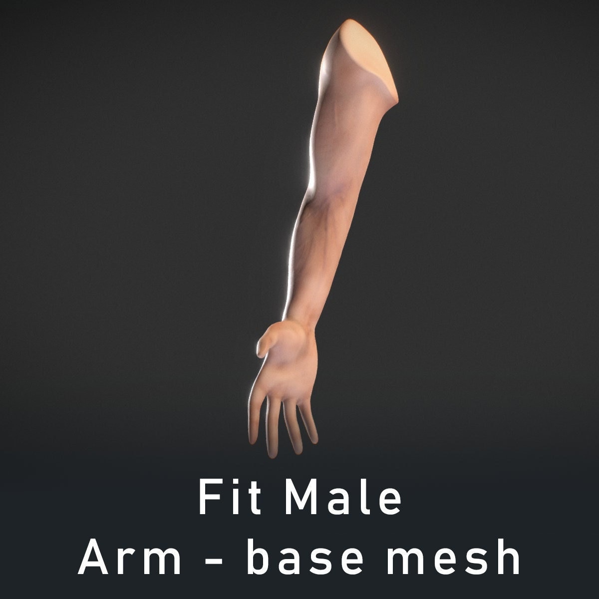 Procreate 3D Male Arm Model: Tattoo Art Design - Etsy