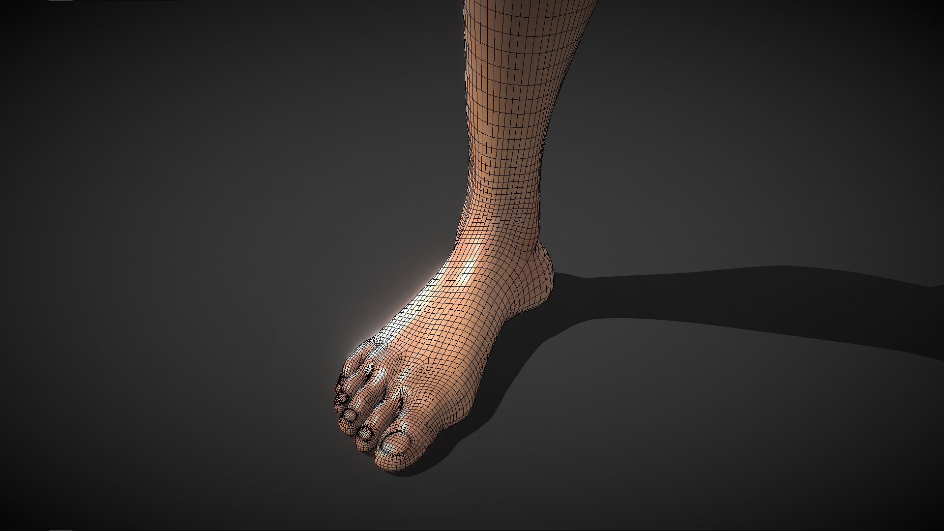 Procreate 3D Model for Tattoo Artists Model Fit Male Anatomy - Etsy