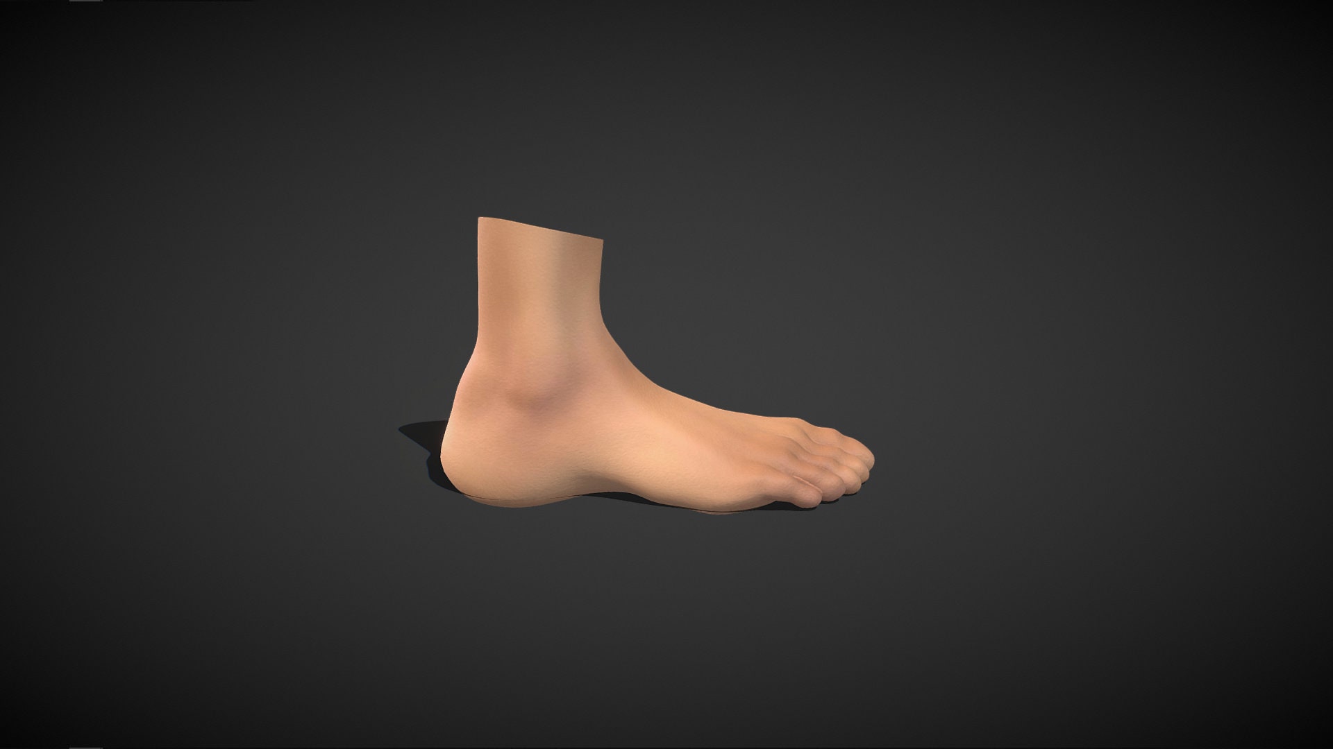 Procreate 3D Models Male Foot Perfect for Tattoo Art 3D Foot Feet Toes ...