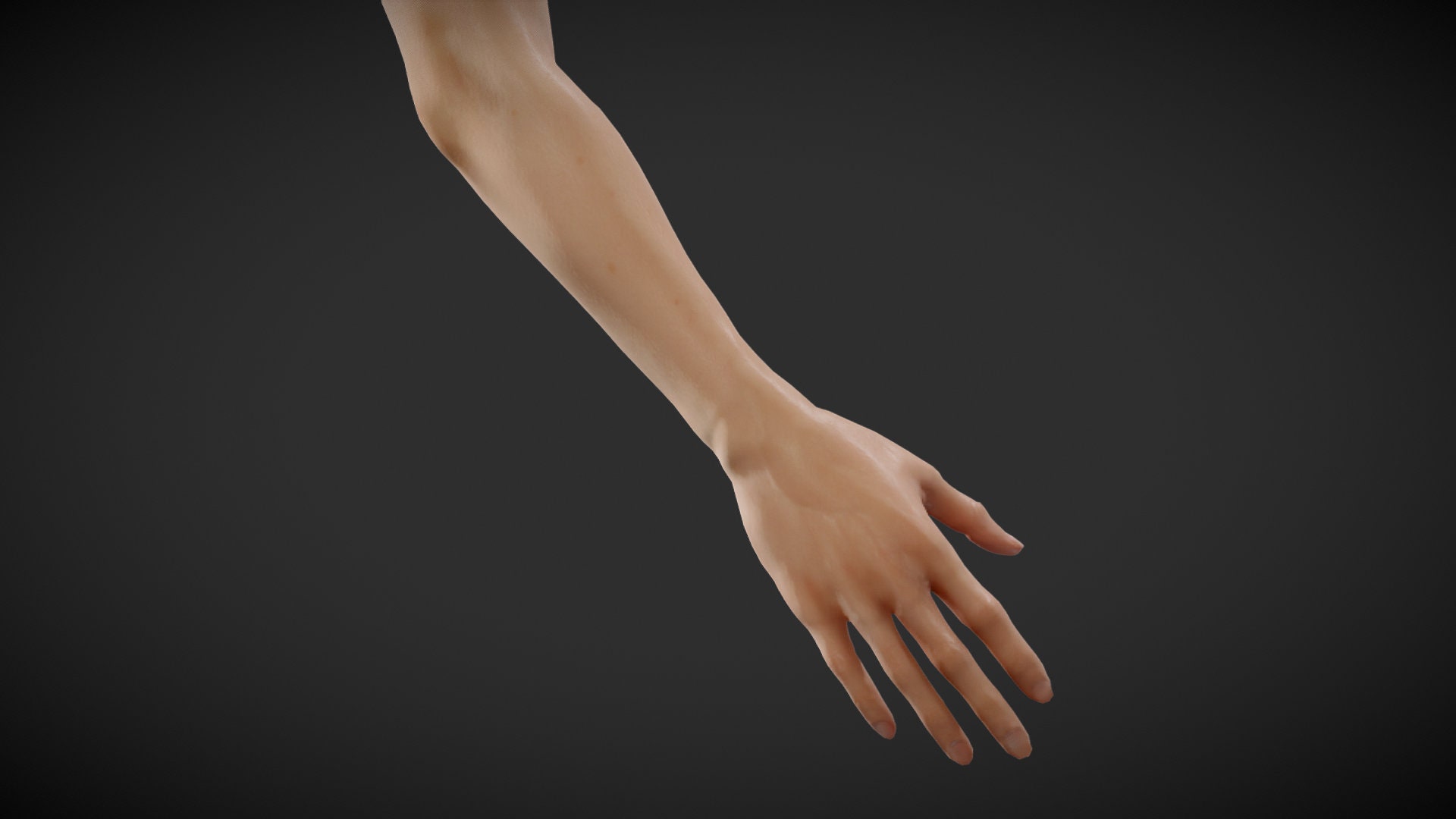 Procreate 3D Models Female Arm and Hand Perfect for Tattoo Art 3D Arm ...