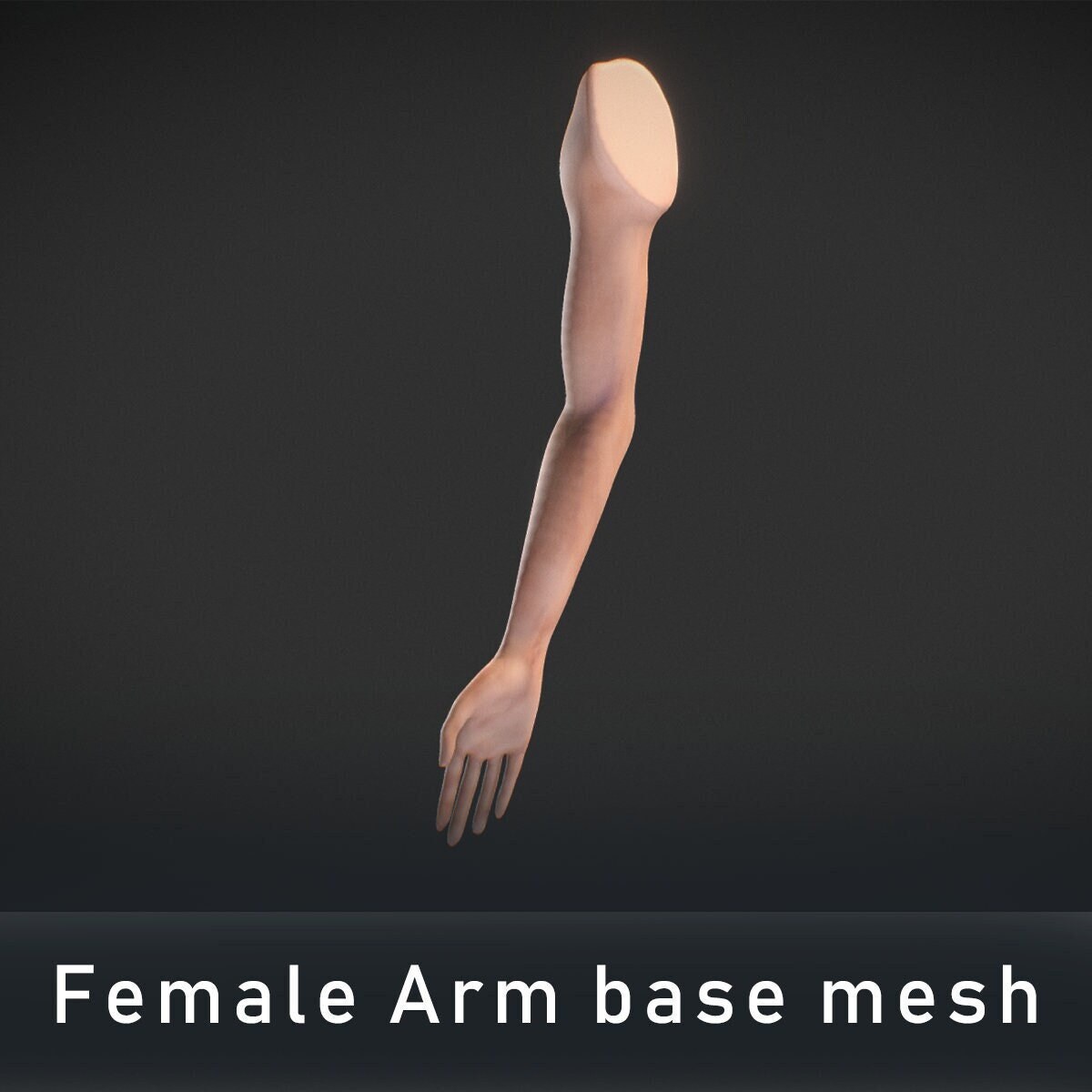 Procreate 3D Female Arm Model: Tattoo Art Design (USDZ File) - Etsy