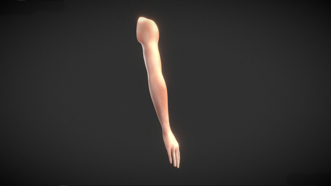Procreate 3D Models Female Arm Perfect for Tattoo Art 3D Arm Elbow Hand ...