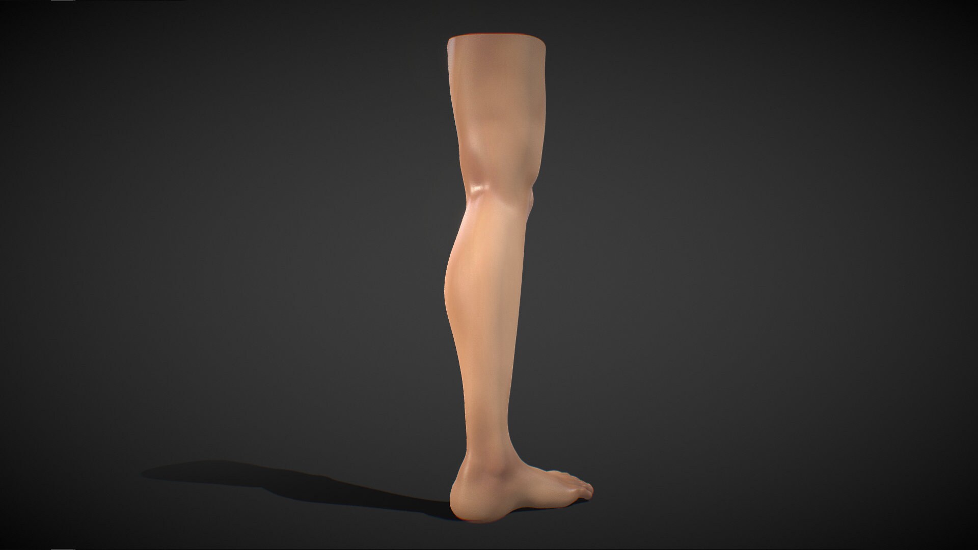 Procreate 3D Model for Tattoo Artists Model Fit Male Anatomy - Etsy