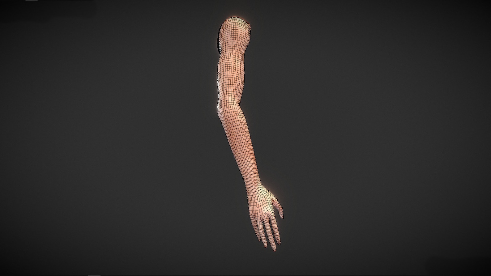 Procreate 3D Female Arm Model: Tattoo Art Design (USDZ File) - Etsy