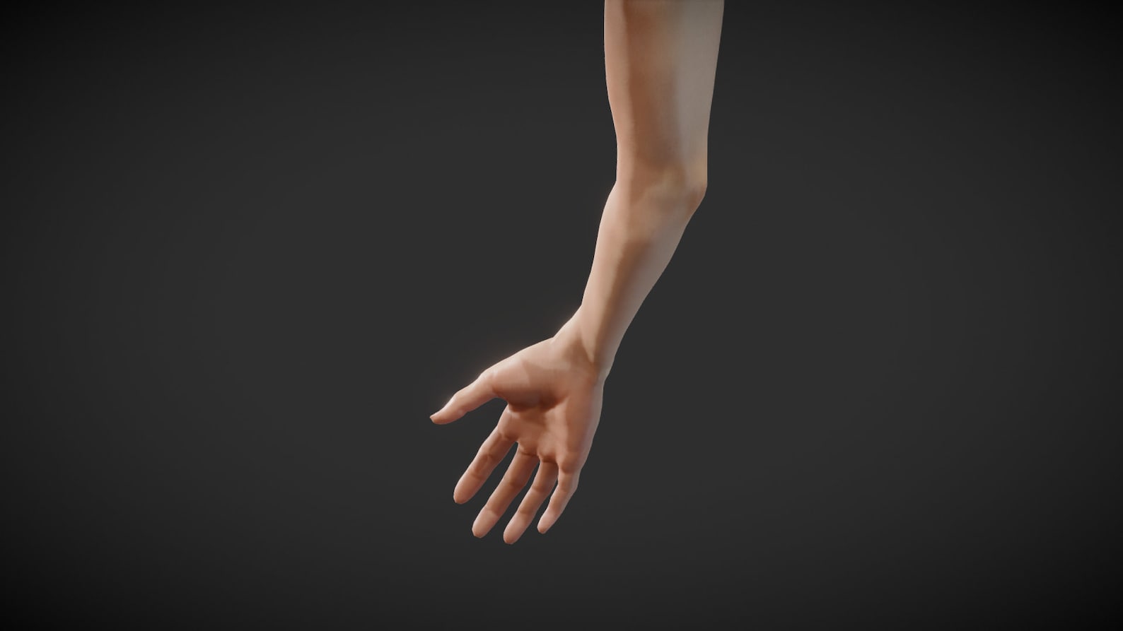 Procreate 3D Models Female Arm and Hand Perfect for Tattoo Art 3D Arm ...