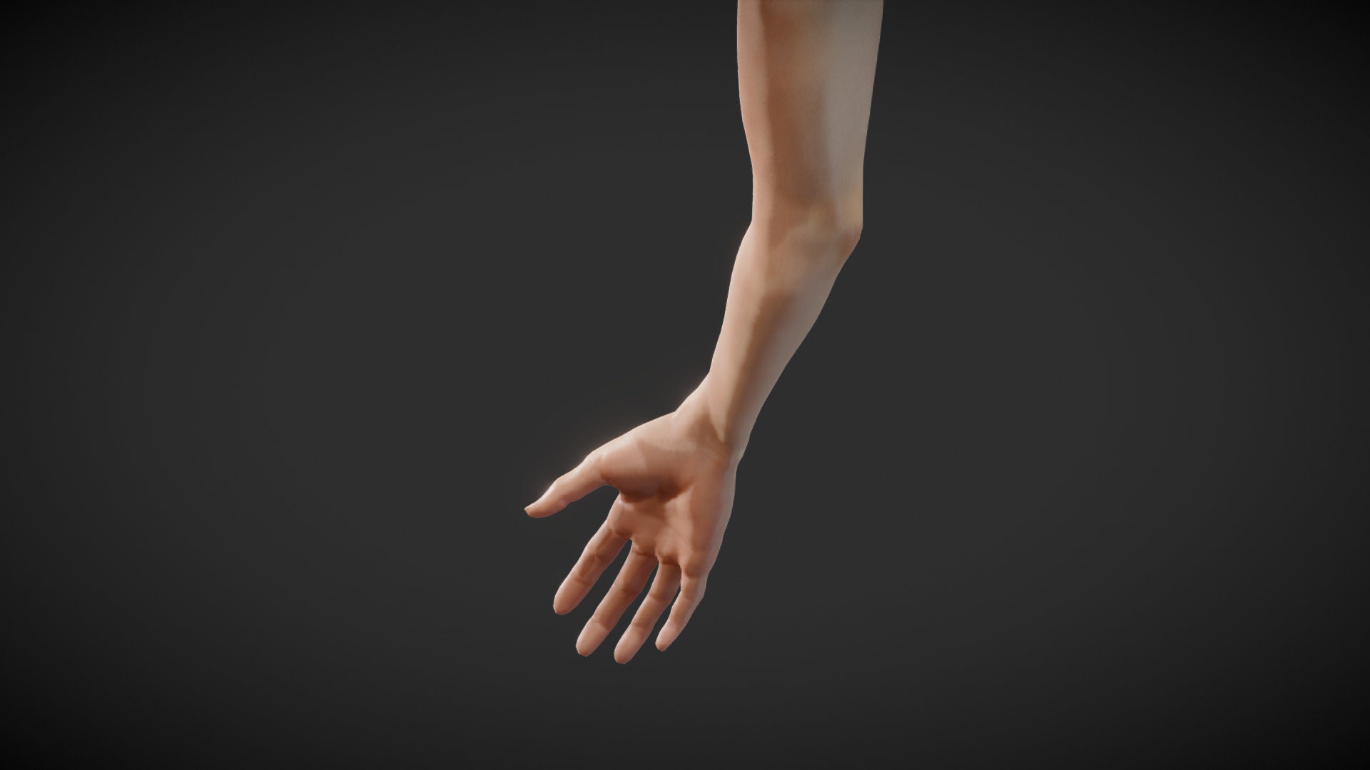 Procreate 3D Models Female Arm and Hand Perfect for Tattoo Art 3D Arm ...