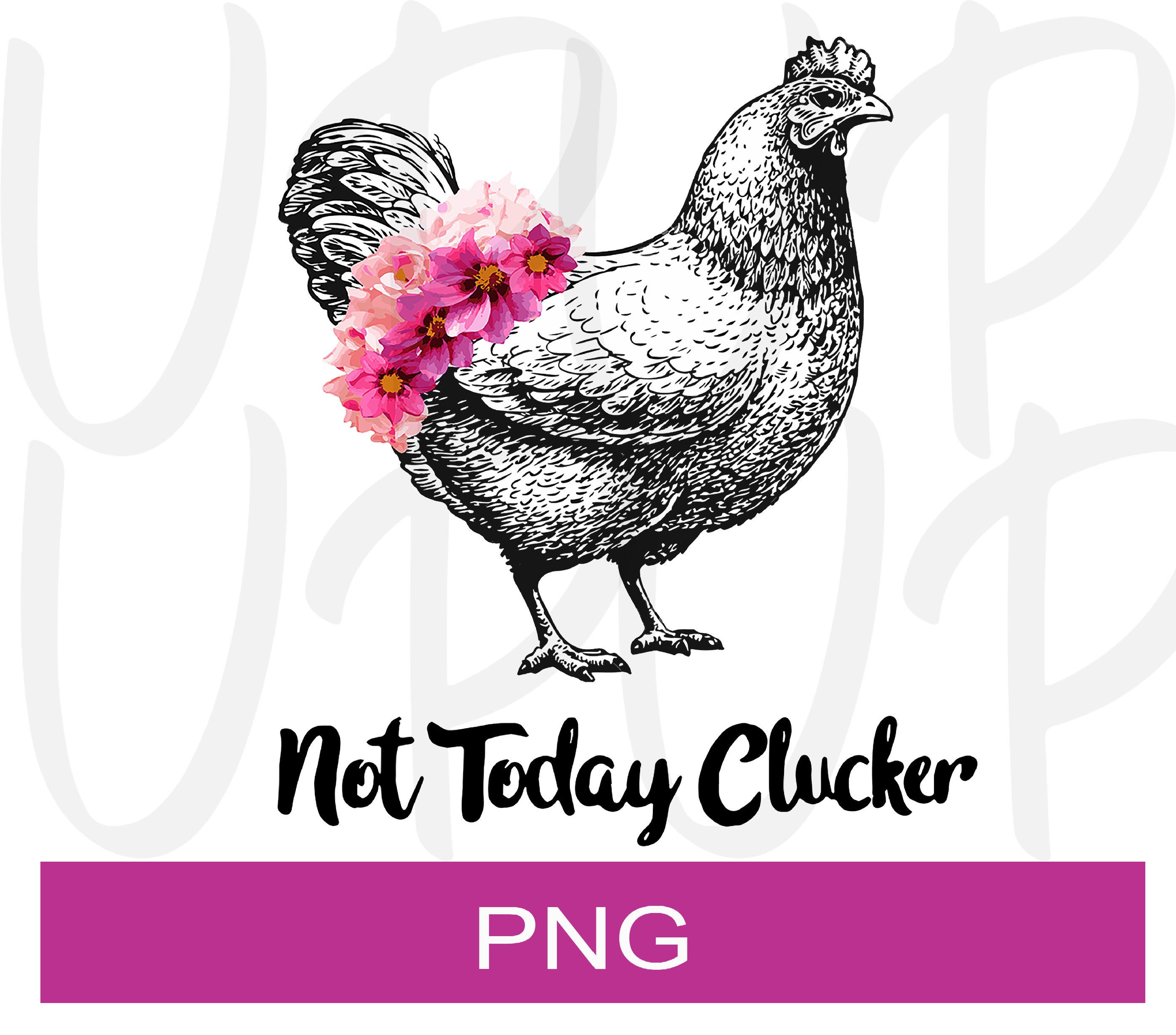 Not Today Clucker Chicken Design | Digital Design | PNG Design ...
