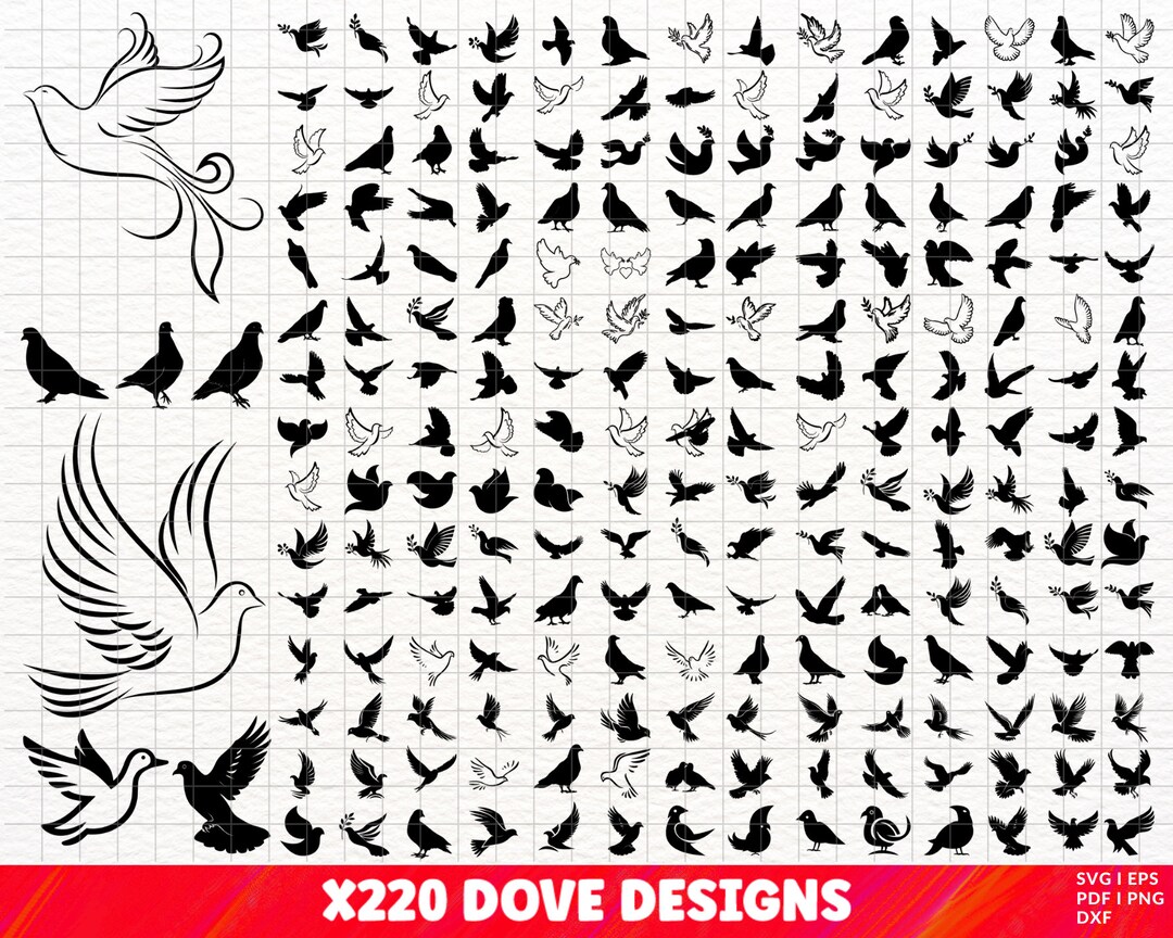 Dove SVG Bundle, Dove PNG Bundle, Dove Clipart, Pigeon SVG Cut Files ...