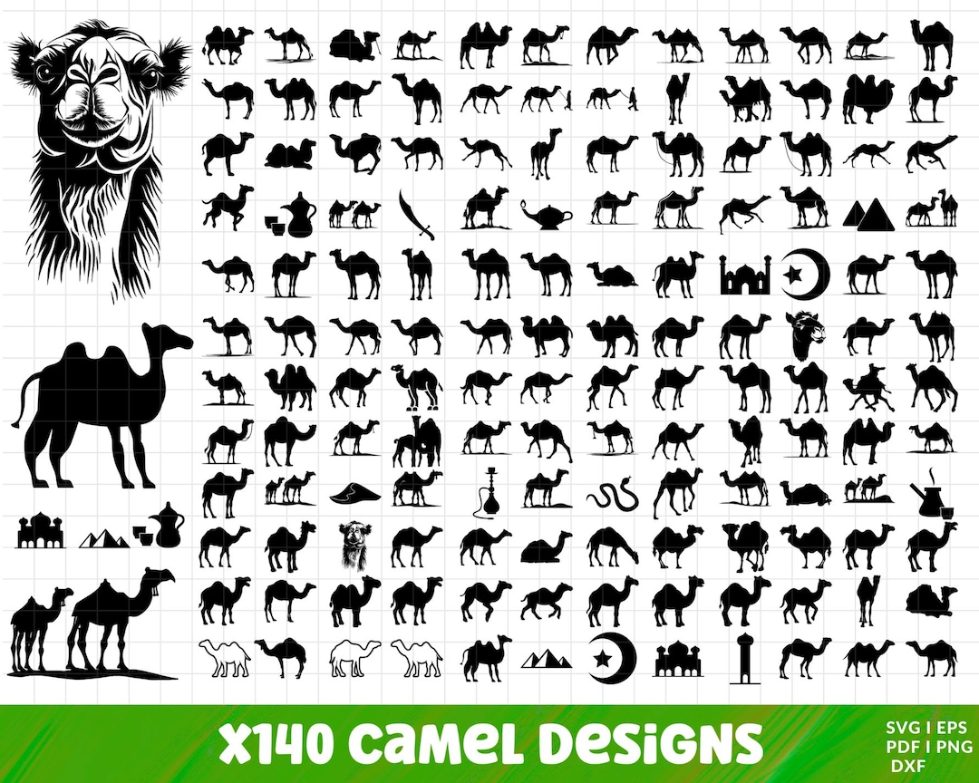 Camel SVG Bundle , Camel PNG Bundle, Camel Clipart, Camel Cut Files ...