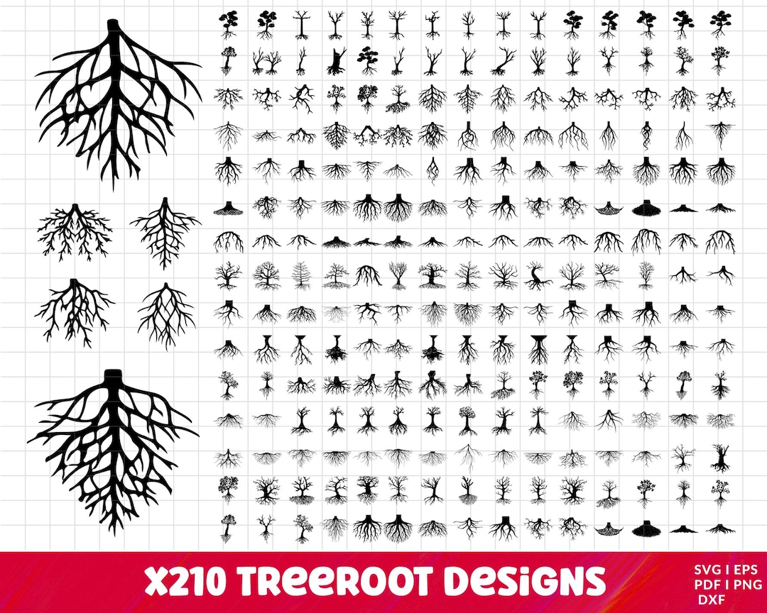 Tree Roots SVG, Tree With Roots PNG, Roots Clip Art, Roots Vector ...