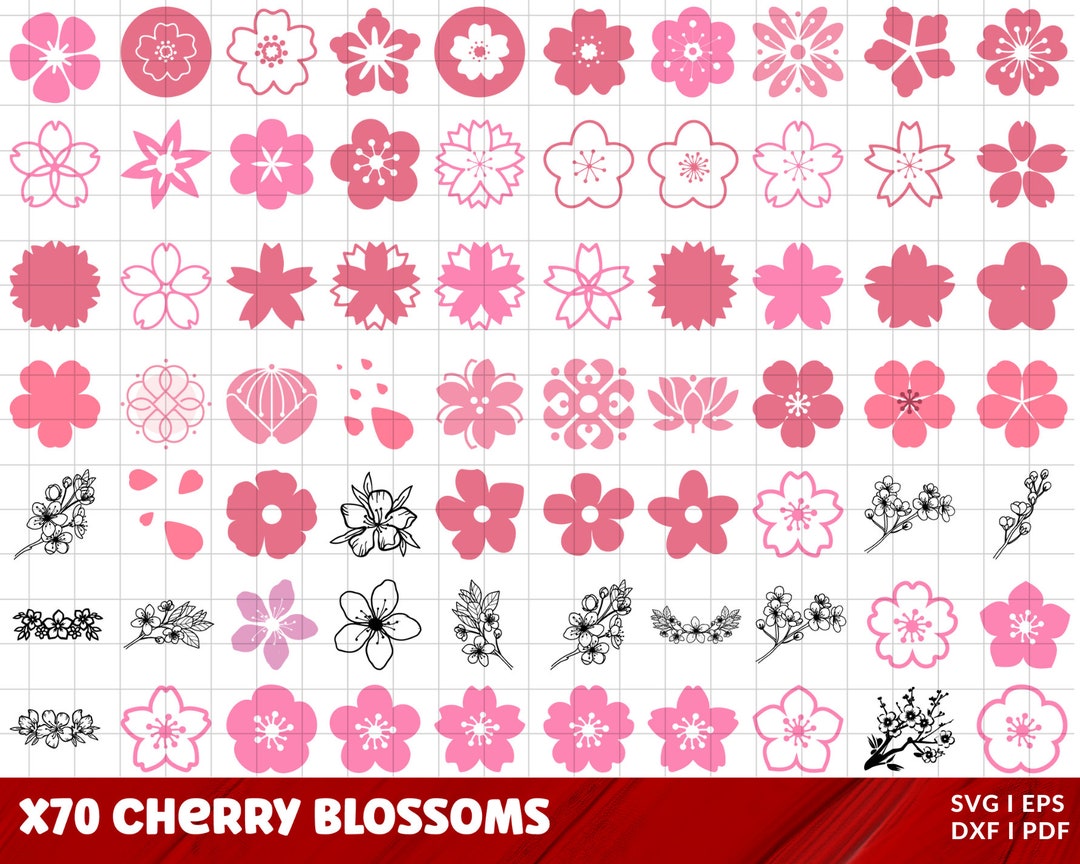 Cherry Blossom Svg, Cherry Blossom Png, Sakura Blossom Svg, Cherry ...