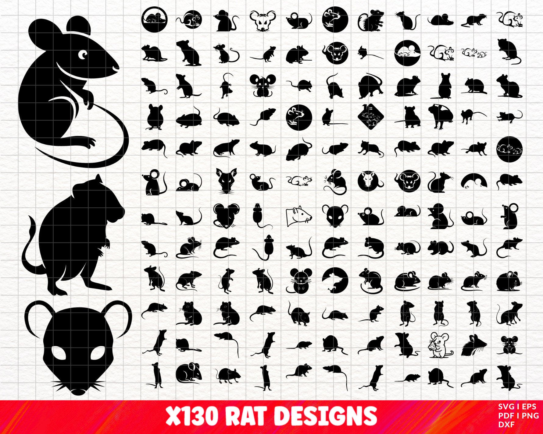 Rat SVG Bundle, Rat PNG Bundle, Rat Clipart, Rat Cut Files for Cricut ...