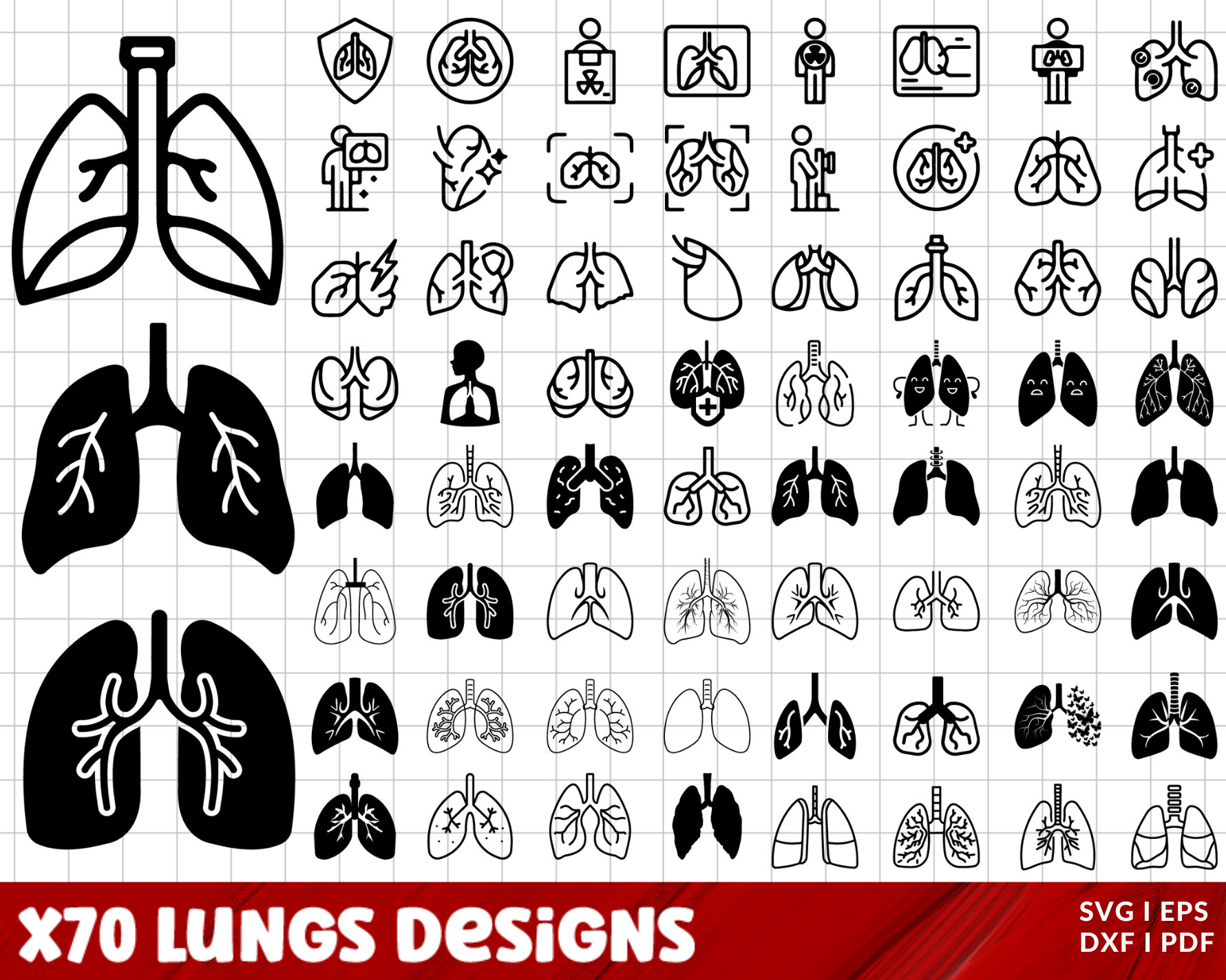 Lungs SVG Bundle, Lungs PNG Bundle, Lungs Clipart, Lungs SVG Cut Files ...