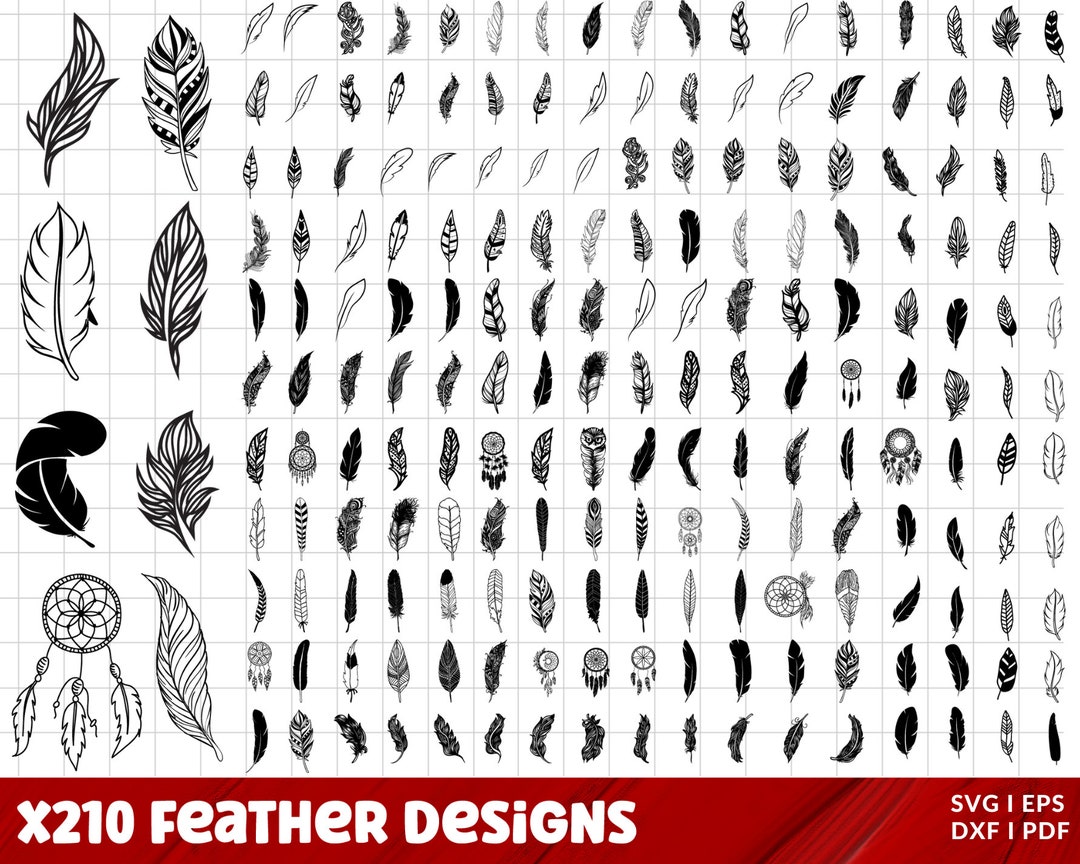 Lot de plumes svg, plumes oiseaux svg, dxf, png, jpg, silhouette de ...