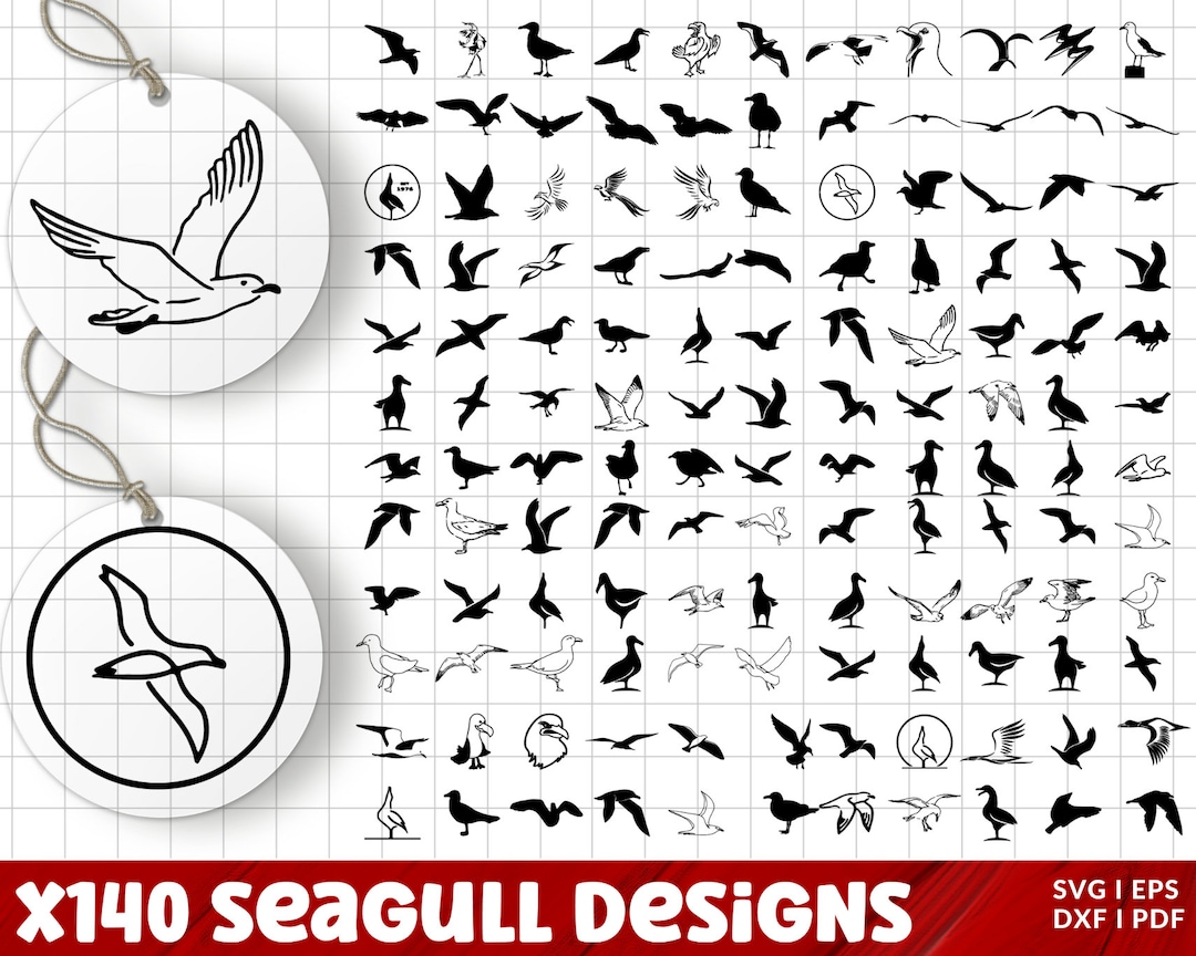 Seagull SVG Bundle , Seagull PNG Bundle, Seagull Clipart, Seagull SVG ...