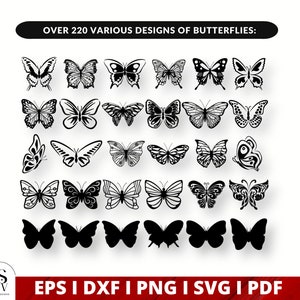 Butterfly SVG Bundle - Butterfly PNG Bundle - Butterfly Clipart ...