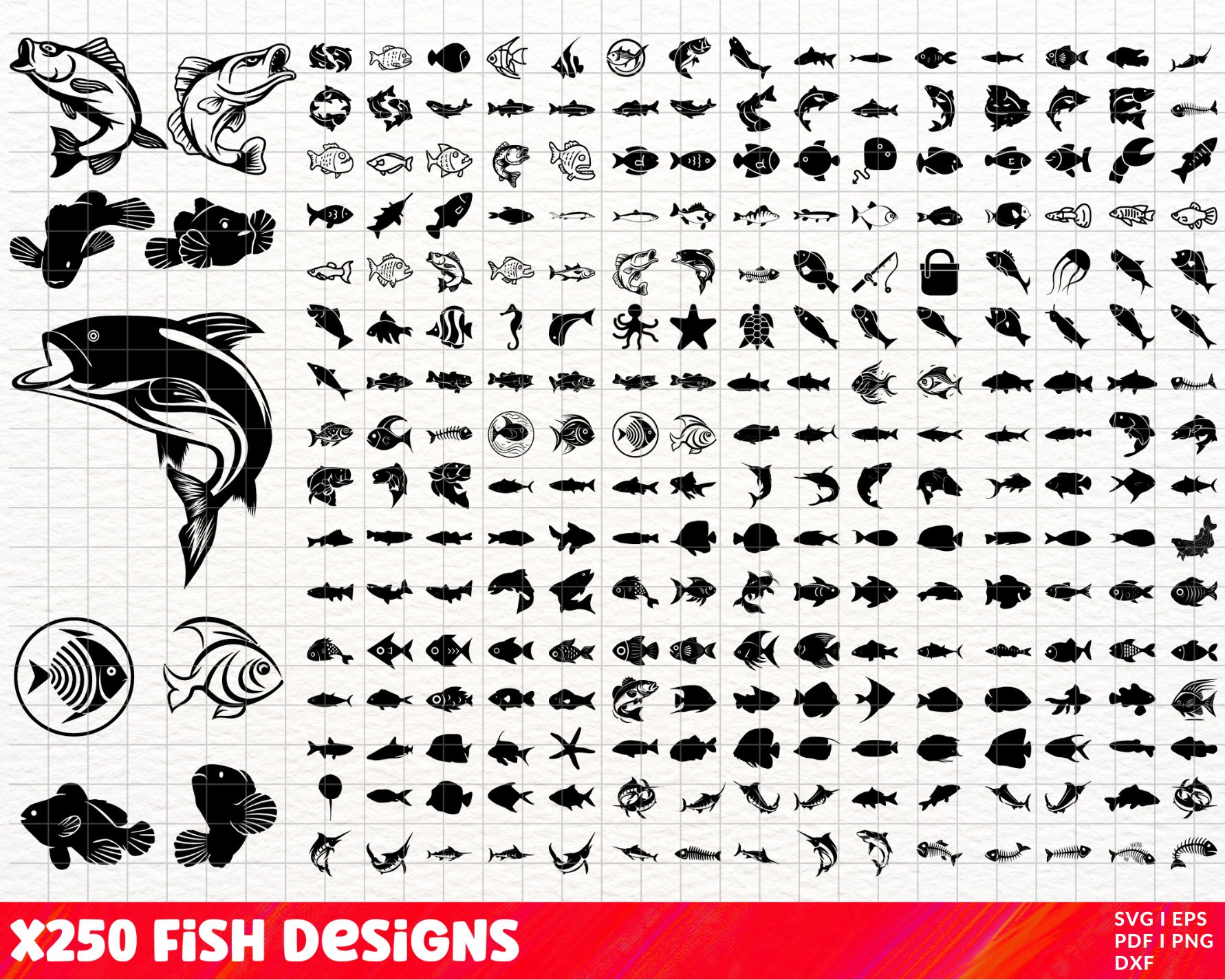 Paquete SVG de pescado, paquete PNG de pescado, imágenes prediseñadas ...
