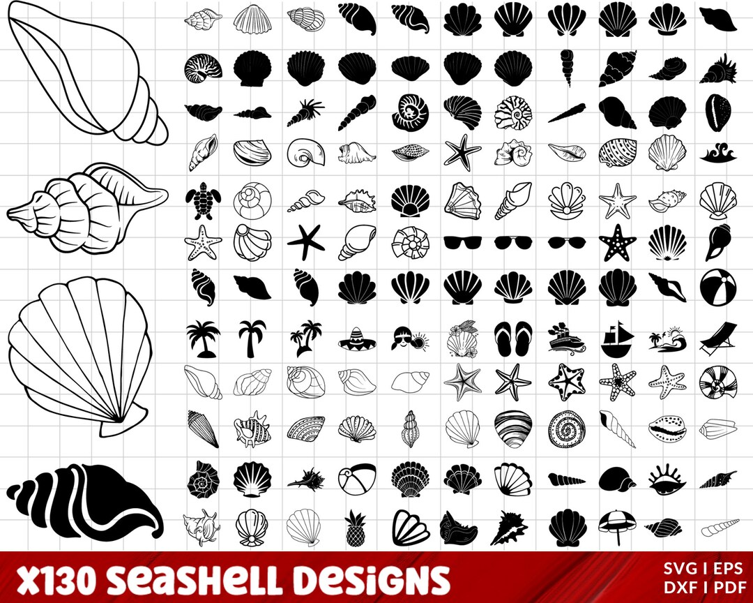 Seashell SVG Bundle, Seashell PNG Bundle, Seashell Clipart, Seashell ...