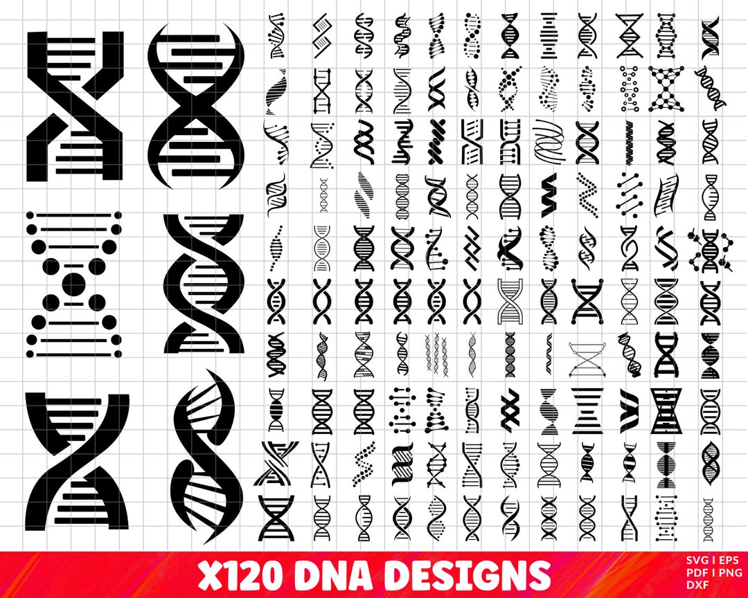 Dna SVG Bundle, Dna PNG Bundle, Dna Clipart, Dna SVG Cut Files for ...