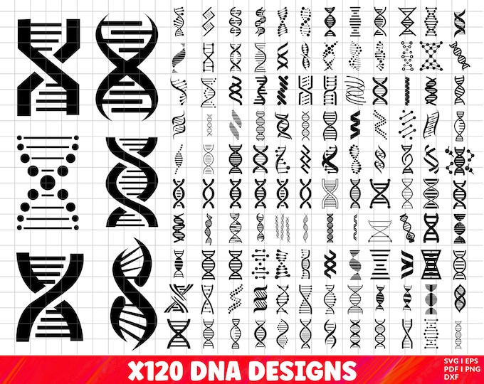 DNA and Rna Strand Gold Foil Print, Gold Print, Custom Print in Gold ...