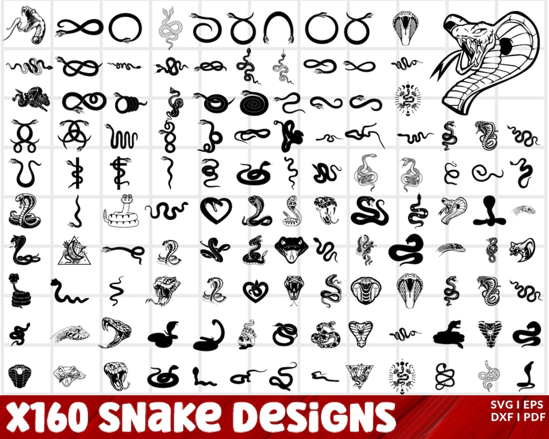 Snake SVG Bundle, Snake PNG Bundle, Floral Snake Svg, Snake Clipart ...