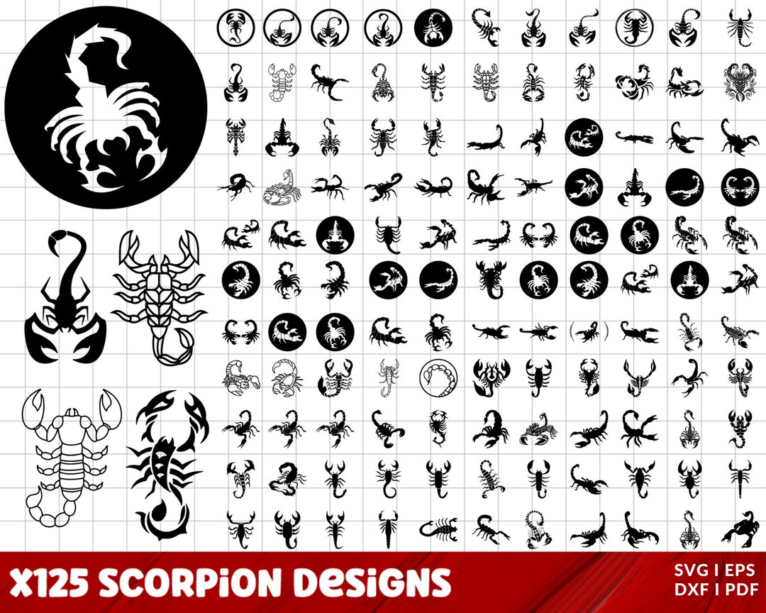 Scorpion SVG Bundle, Scorpion PNG Bundle, Scorpion Clipart, Scorpion ...