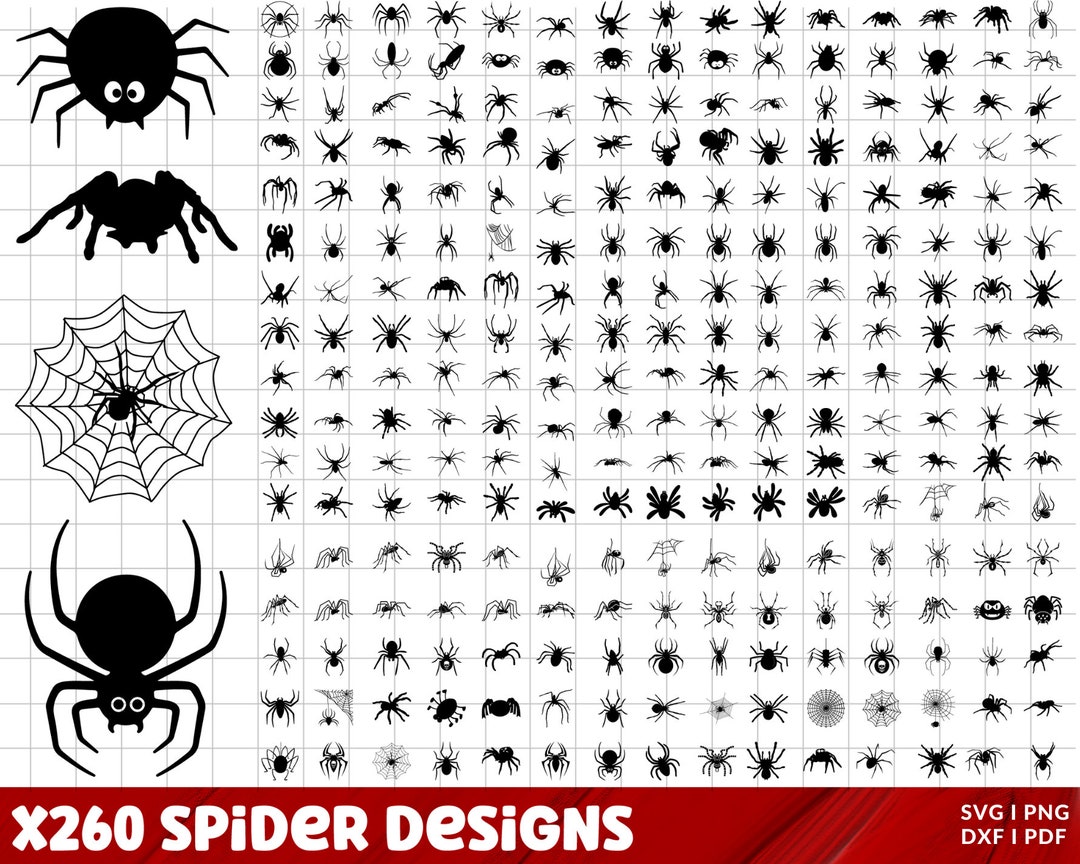 Spider SVG Bundle, Spider PNG Bundle, Spider Clipart, Spider SVG Cut ...