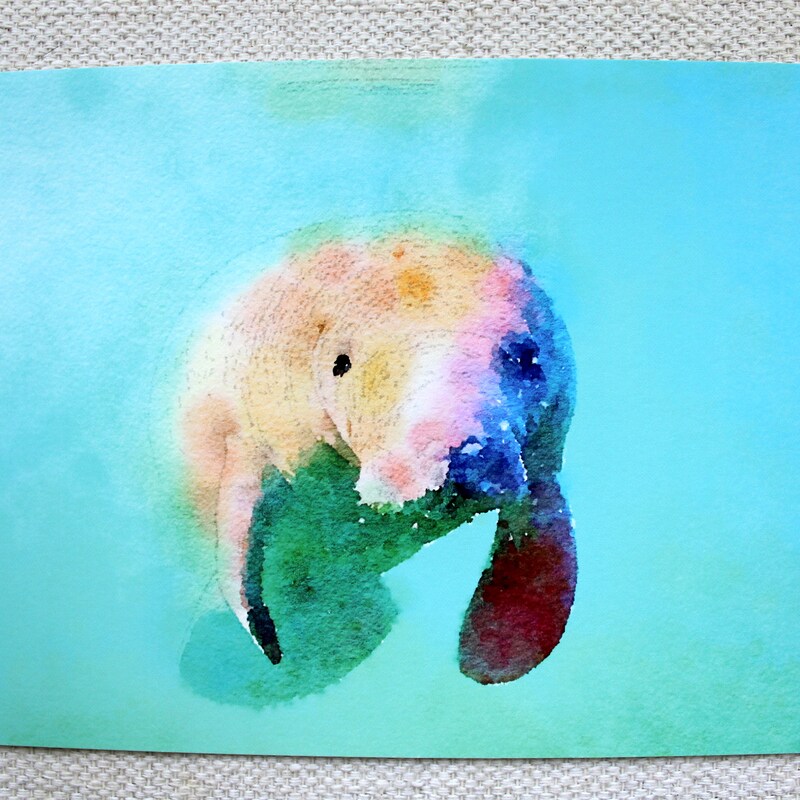 Manatee Art - Etsy
