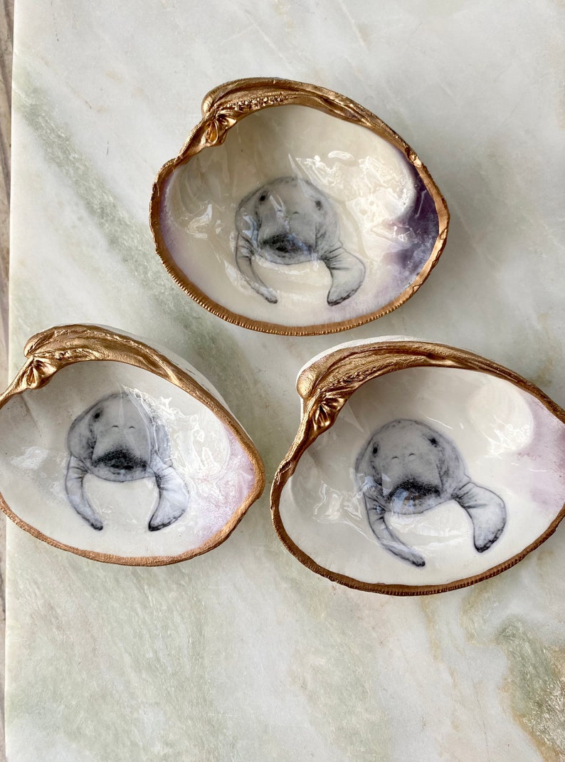 Small Manatee Ring Dish With Natural Clam Shell, Jewelry Holder ...