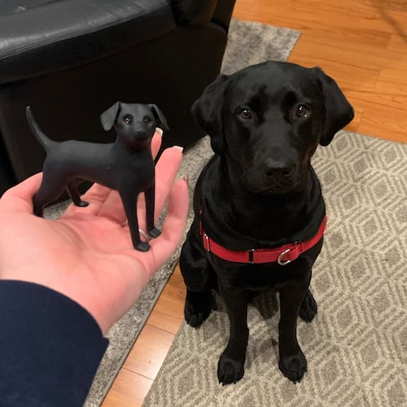 Black Lab Topper - Etsy