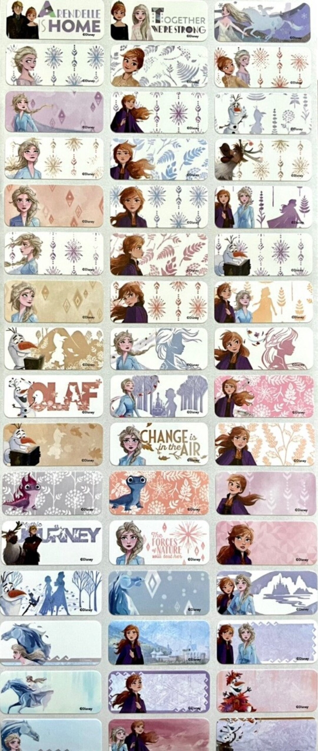 Frozen Waterproof Name Sticker Label Daycare Label School - Etsy