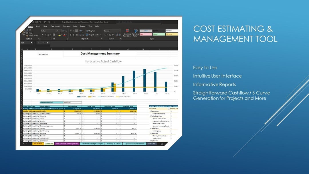 Budgeting & Revenue Project Management Tool (cashflow S-curves) - Etsy
