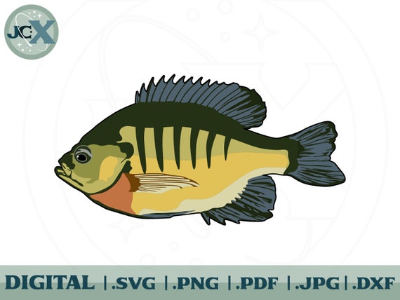 Freshwater Bluegill Illustration Layered SVG - Etsy