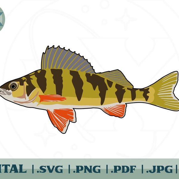 Perch Svg - Etsy