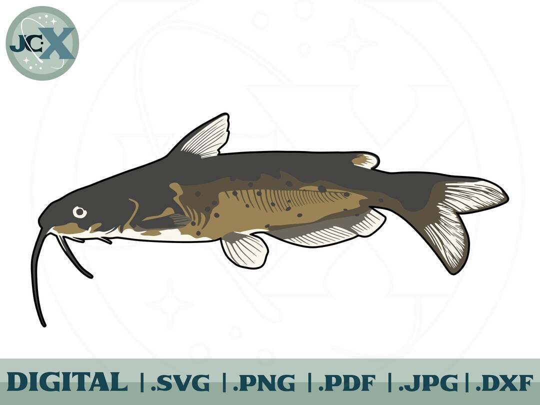 Freshwater Channel Catfish - Illustration - Layered SVG - Etsy