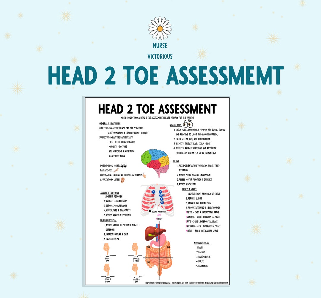 Head-to-toe Assessment Guide | Assessment Cheat Sheet| Nursing Notes ...